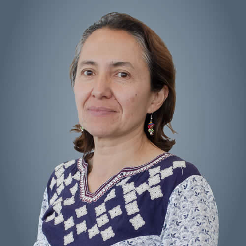 Dr. María Teresa Pulido Silva(CIB)