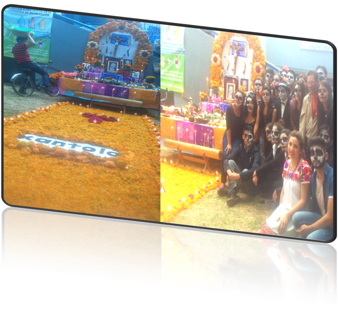 UAEH ICSa :: Extensión