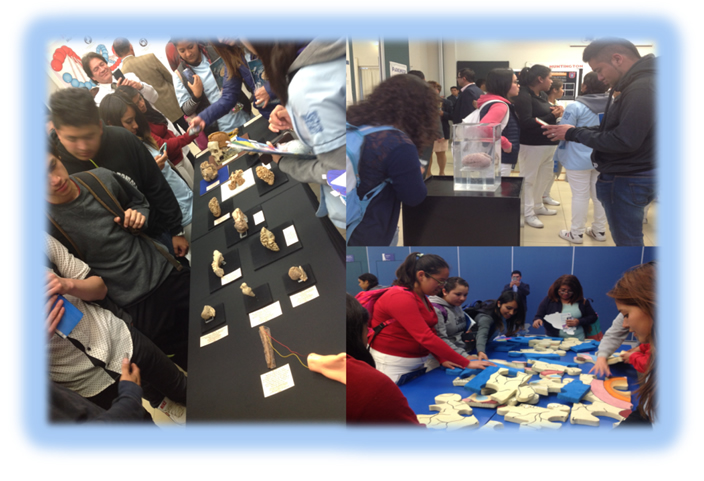 UAEH ICSa :: Extensión