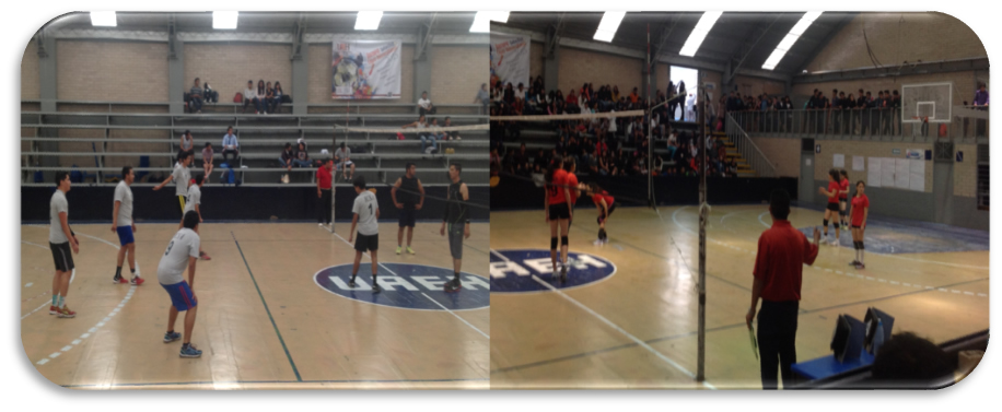 UAEH ICSa :: Extensión