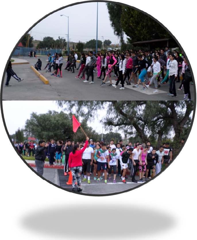 UAEH ICSa :: Extensión