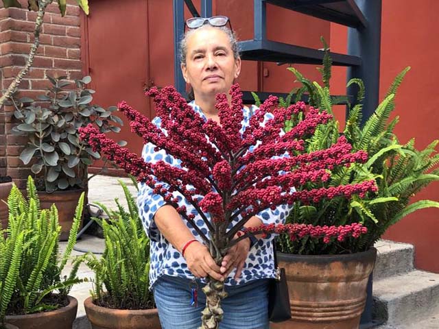 María del Pilar Azul Morris López :: Diseñadora Invitada